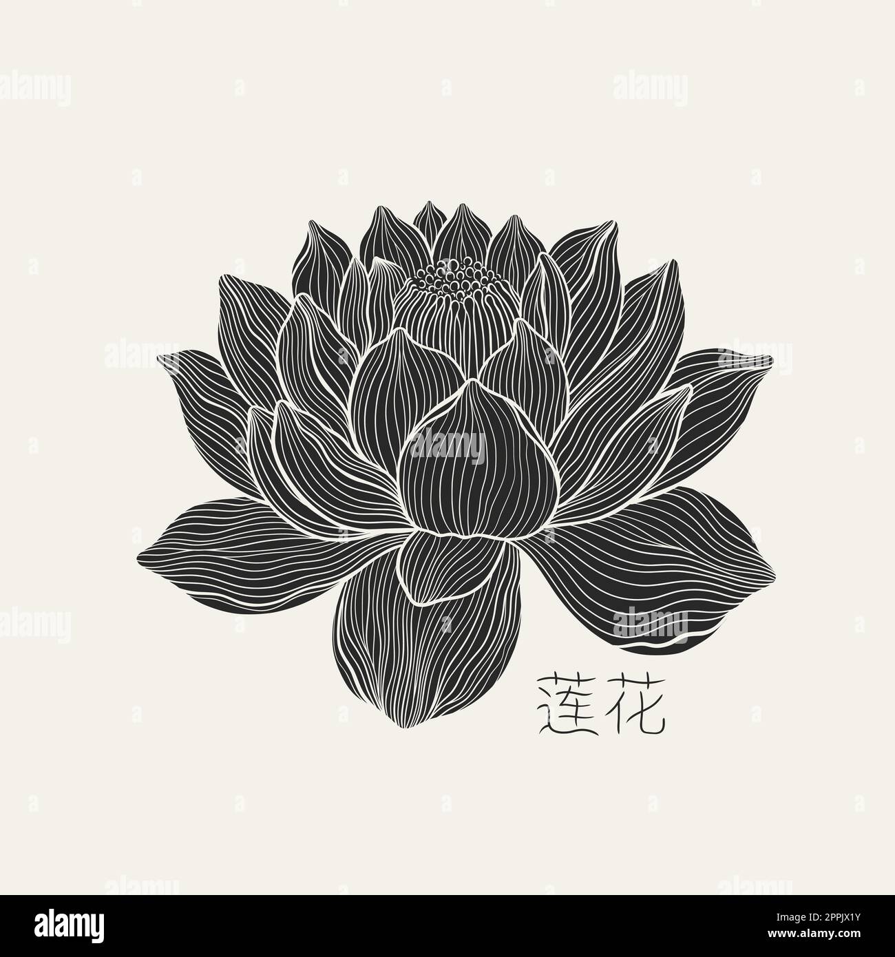 Freehand of a lotus with thin graceful lines . Lotus flower luxury ...