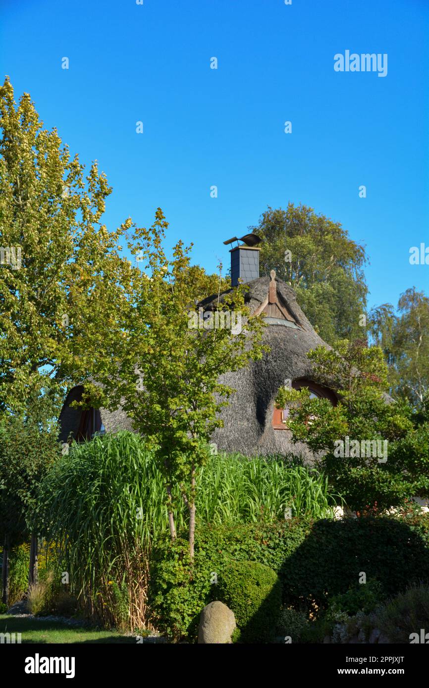 Green roof house hi-res stock photography and images - Alamy
