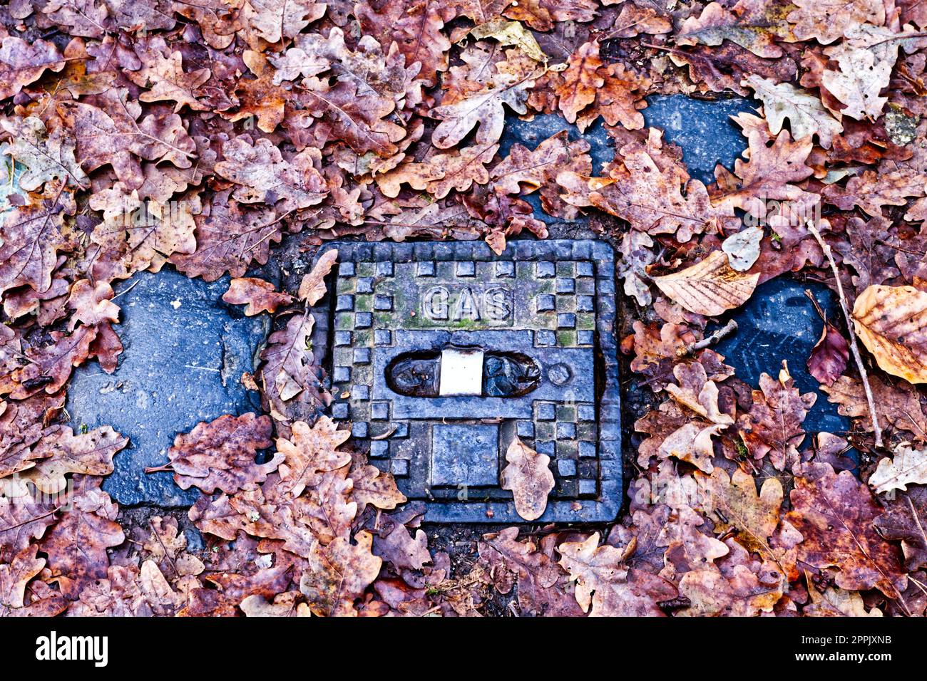 Lng letter hi-res stock photography and images - Alamy