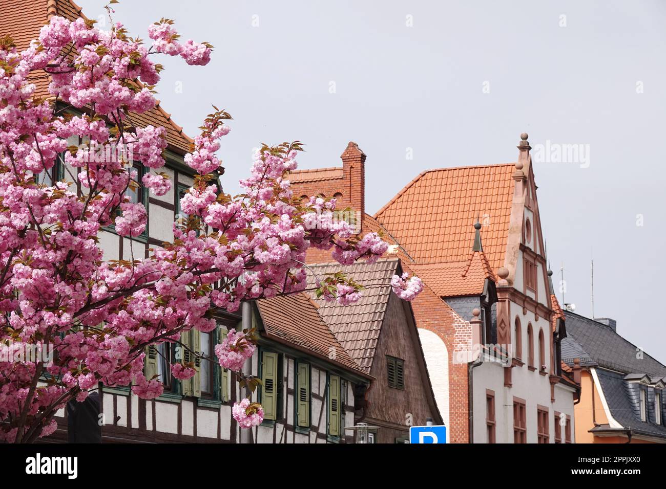 Gerau hi-res stock photography and images - Alamy