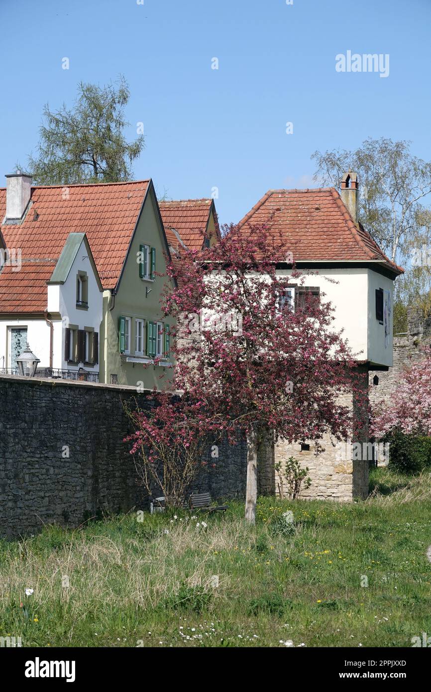 Altstadt mit stadtmauer hi-res stock photography and images - Alamy