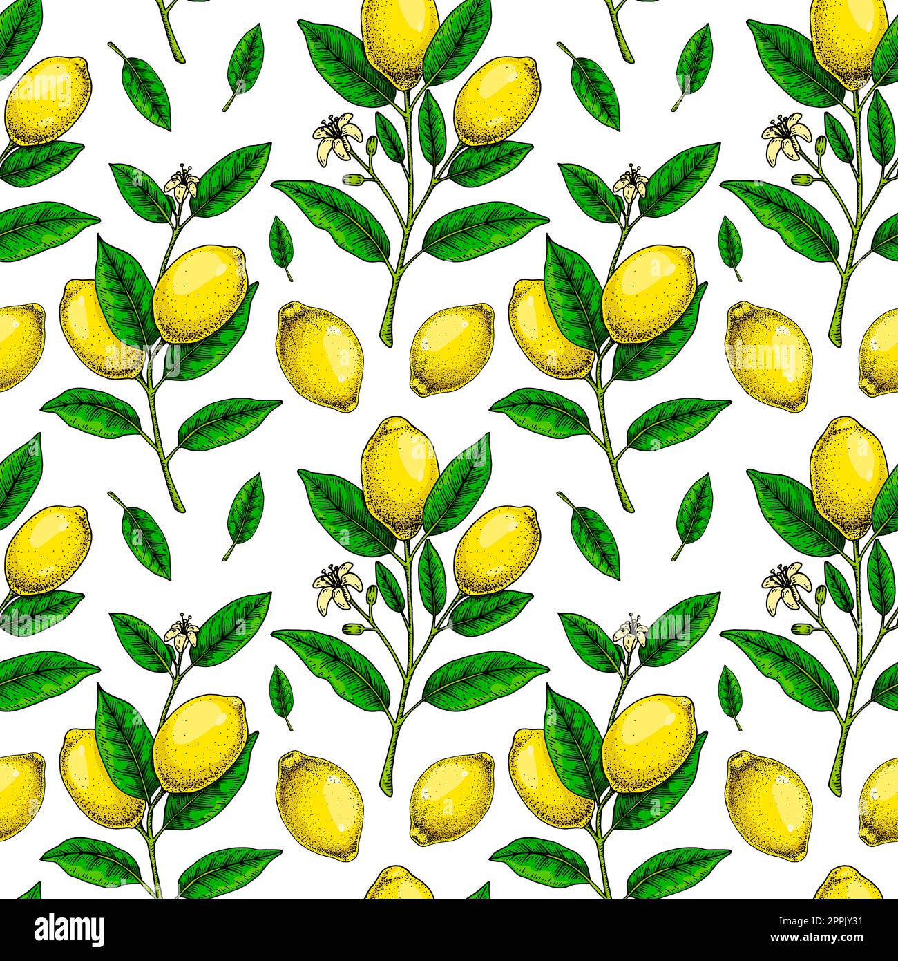 Lemon seamless pattern. Colorful hand drawn vector illustration in ...