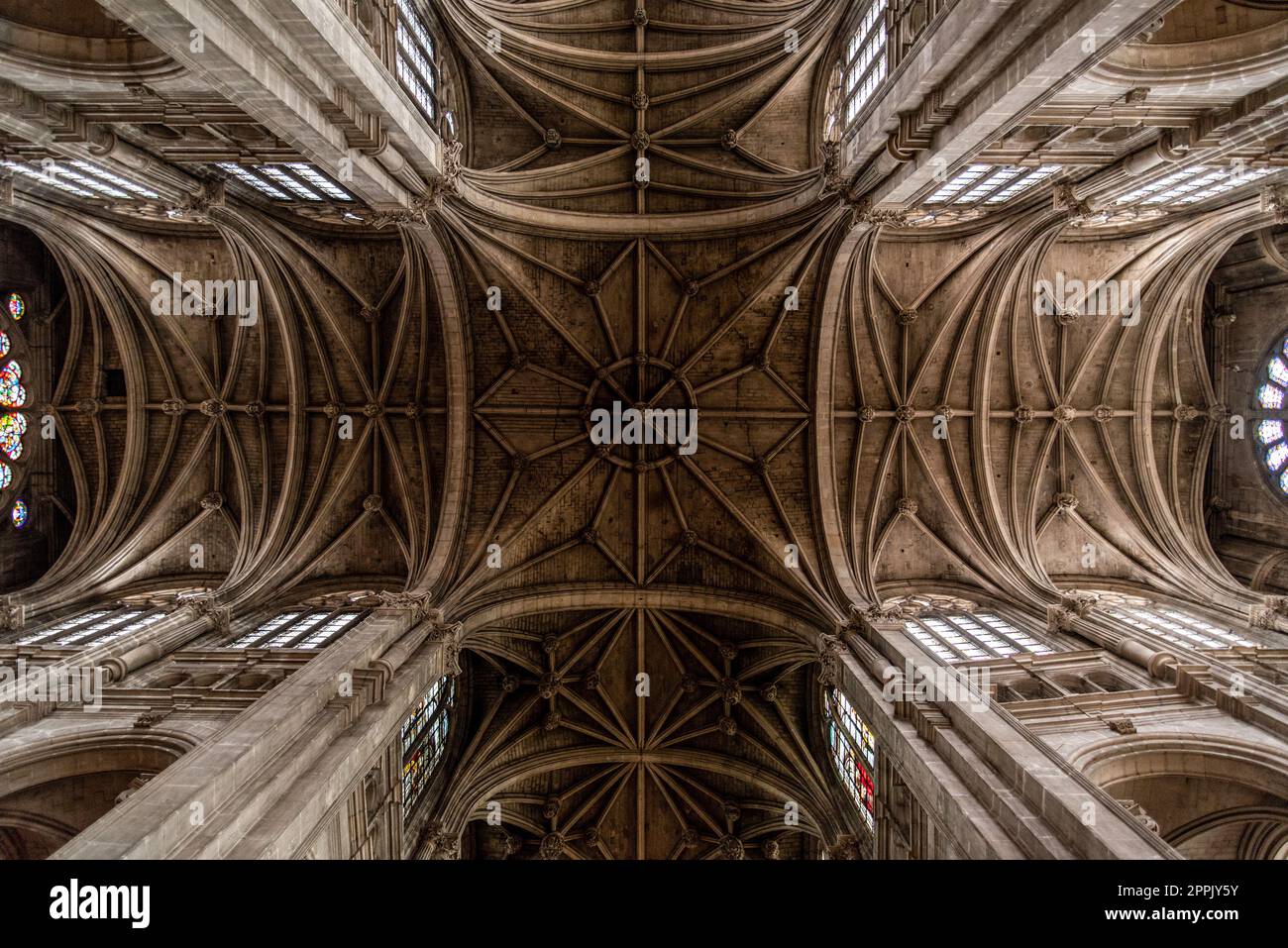 Tall columns and beautifully ornate ceiling in the gothic church Saint ...