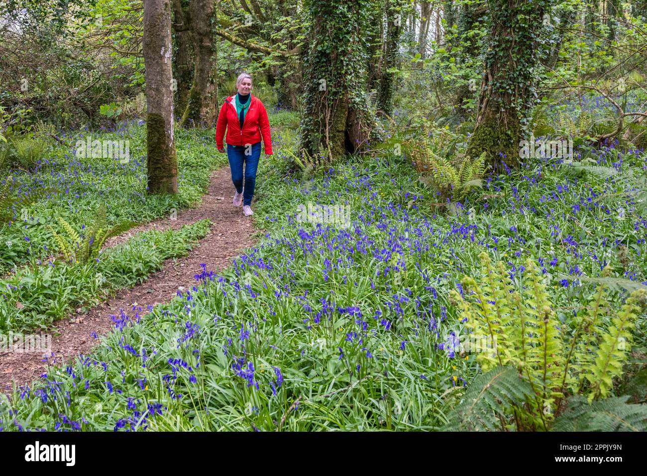 Andy gibson courtmacsherry hi-res stock photography and images - Alamy