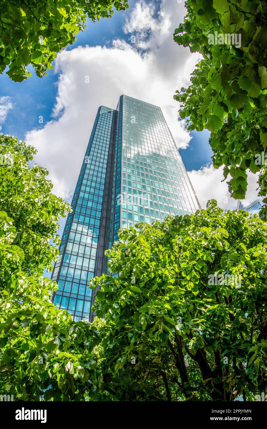 Modern Installation of a path in the trees between skyscrapers in La ...