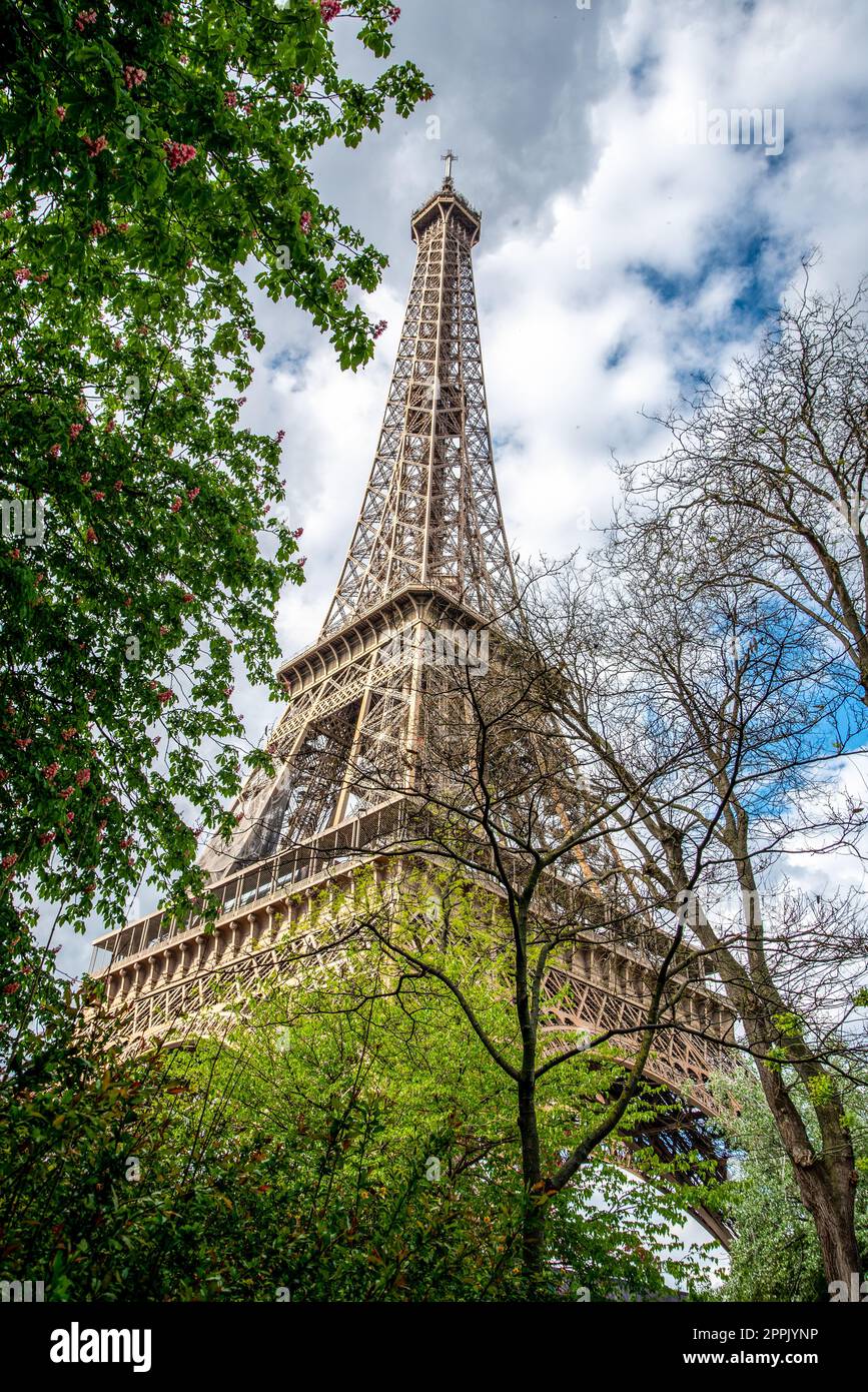 View of the Eiffel Tower in Summer, Paris Stock Photo - Alamy