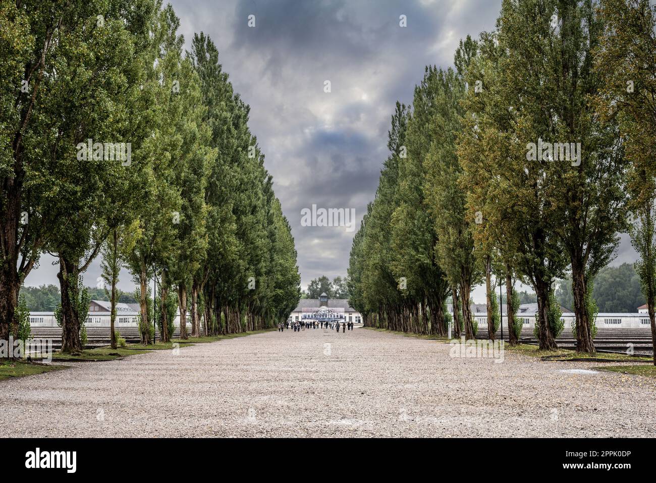 Main way in the former concentration camp Dachau Stock Photo - Alamy