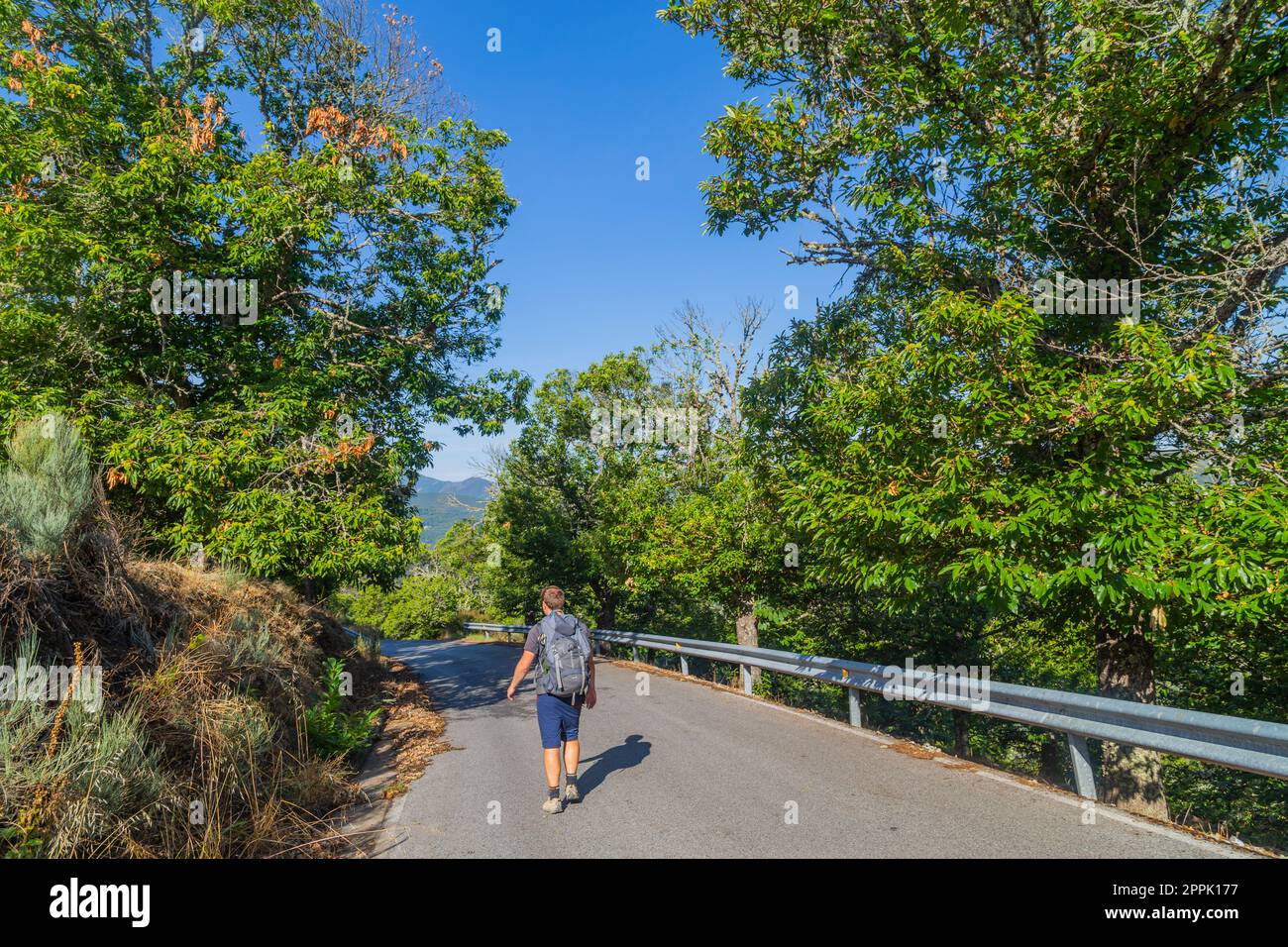 Pilgrims way group pilgrim hi-res stock photography and images - Alamy