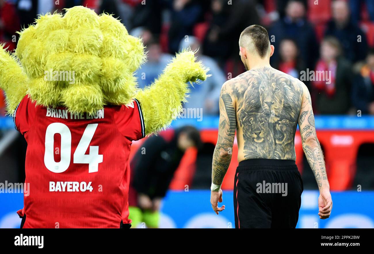 Royal Dutch Lion Tattoo