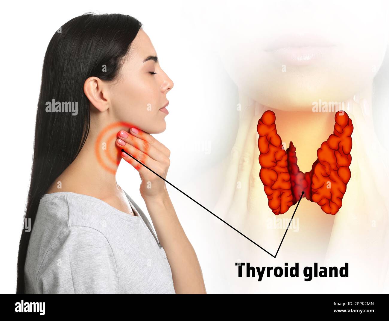 Woman and illustration of thyroid gland on white background Stock Photo ...