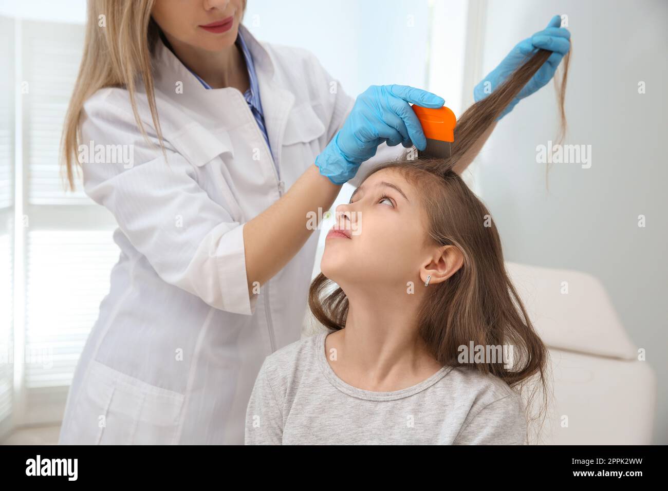 Doctor using nit comb on girl's hair in clinic. Anti lice treatment ...