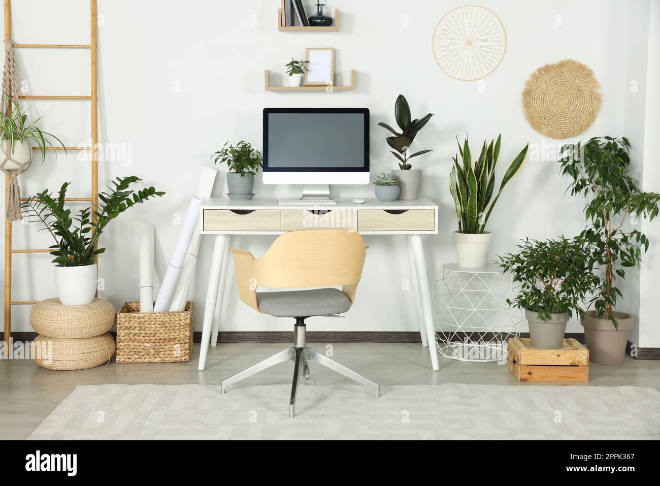 Comfortable workplace with modern computer and different houseplants in ...