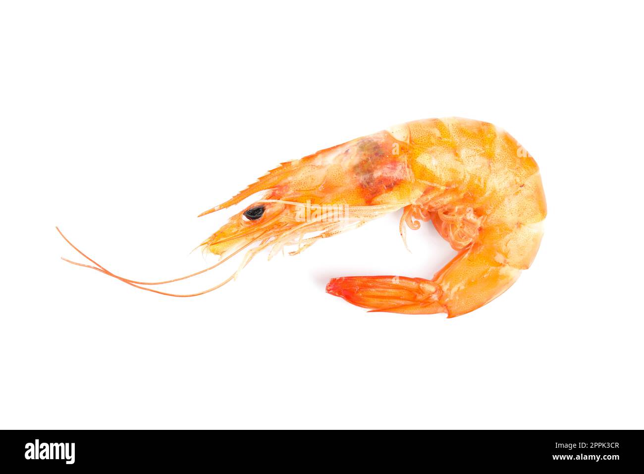 Delicious cooked whole shrimp isolated on white Stock Photo - Alamy