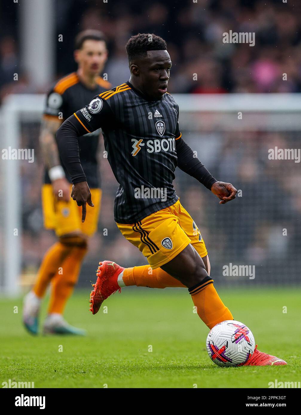Leeds United's Wilfried Gnonto during the Premier League match at ...