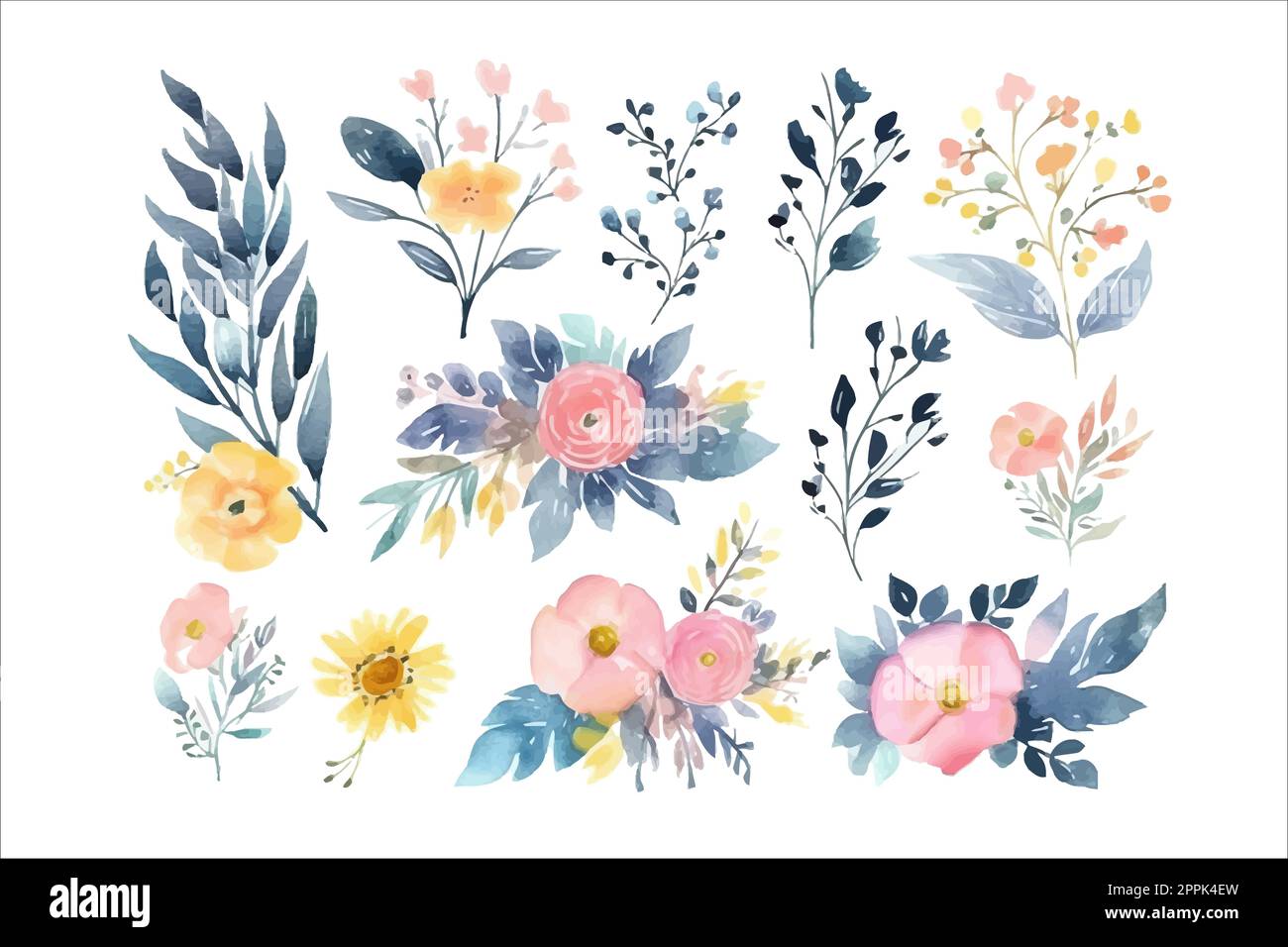 Eucalyptus yellow flower Stock Vector Images - Alamy