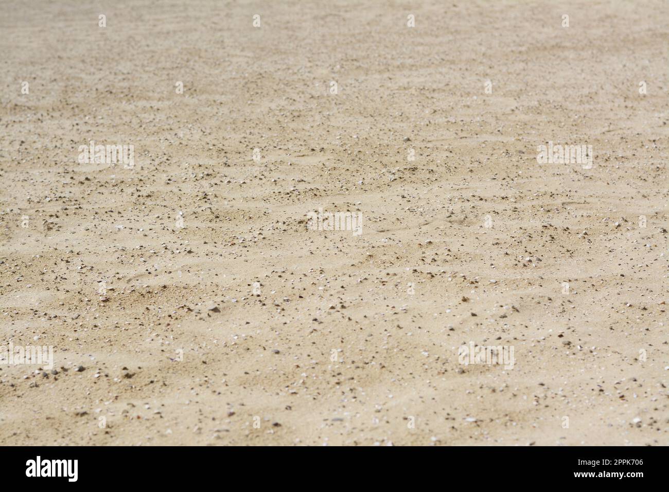 Texture of dry sandy beach as background Stock Photo - Alamy