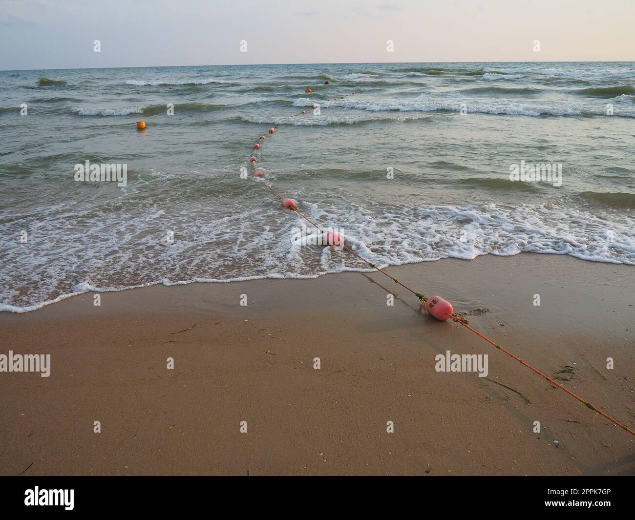 Buoys on a rope near sea water. The buoys are pink restraints to alert ...