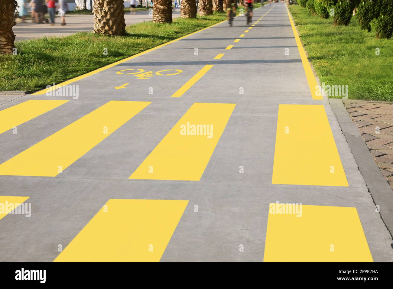 Bicycle lane with painted yellow sign and pedestrian crossing outdoors ...