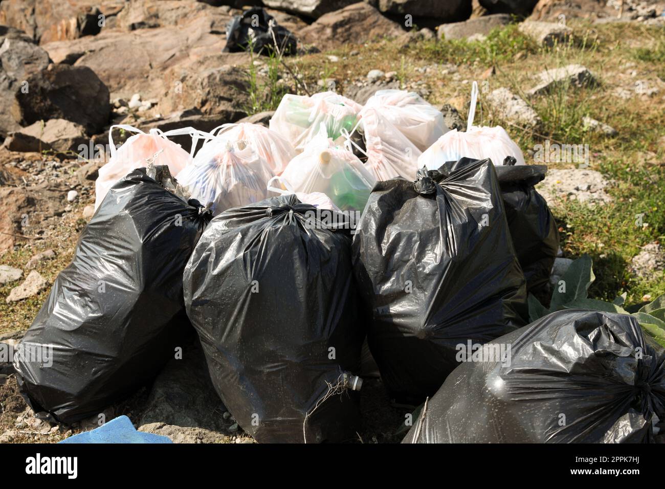 Many trash bags full of garbage outdoors. Environmental Pollution ...