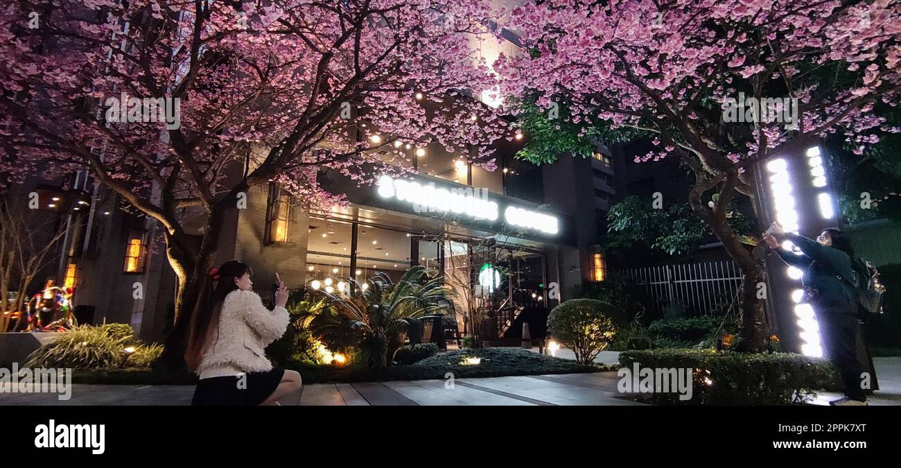 Starbucks in linko, New Taipei City, Taiwan during springtime with full ...