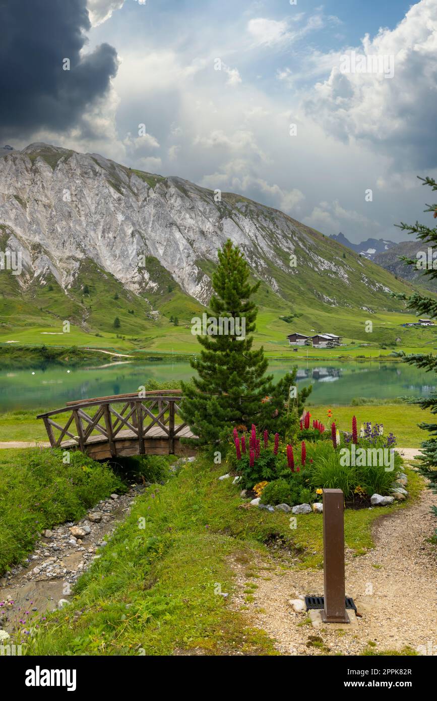 Spring and summer landscape, Tignes, Vanoise national park, France ...