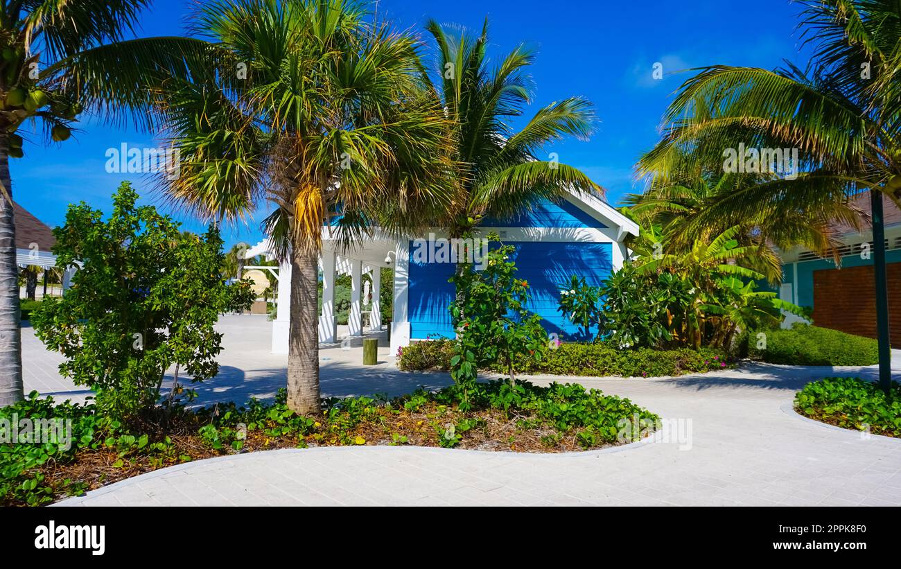 Beach on Ocean Cay Bahamas Island with a colorful houses and turquoise ...