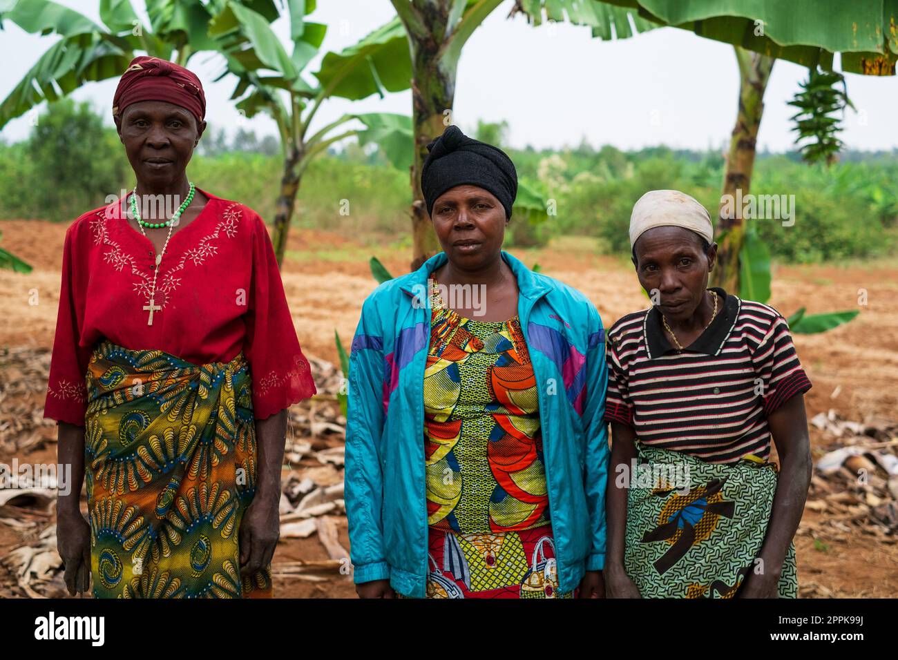 Banana plantation workers hi-res stock photography and images - Alamy