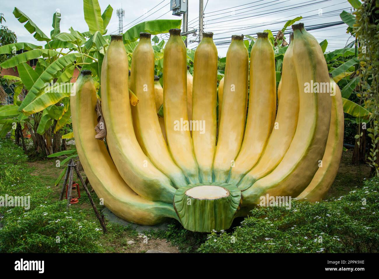 Big Banana Airport Number at Kate Donaghy blog