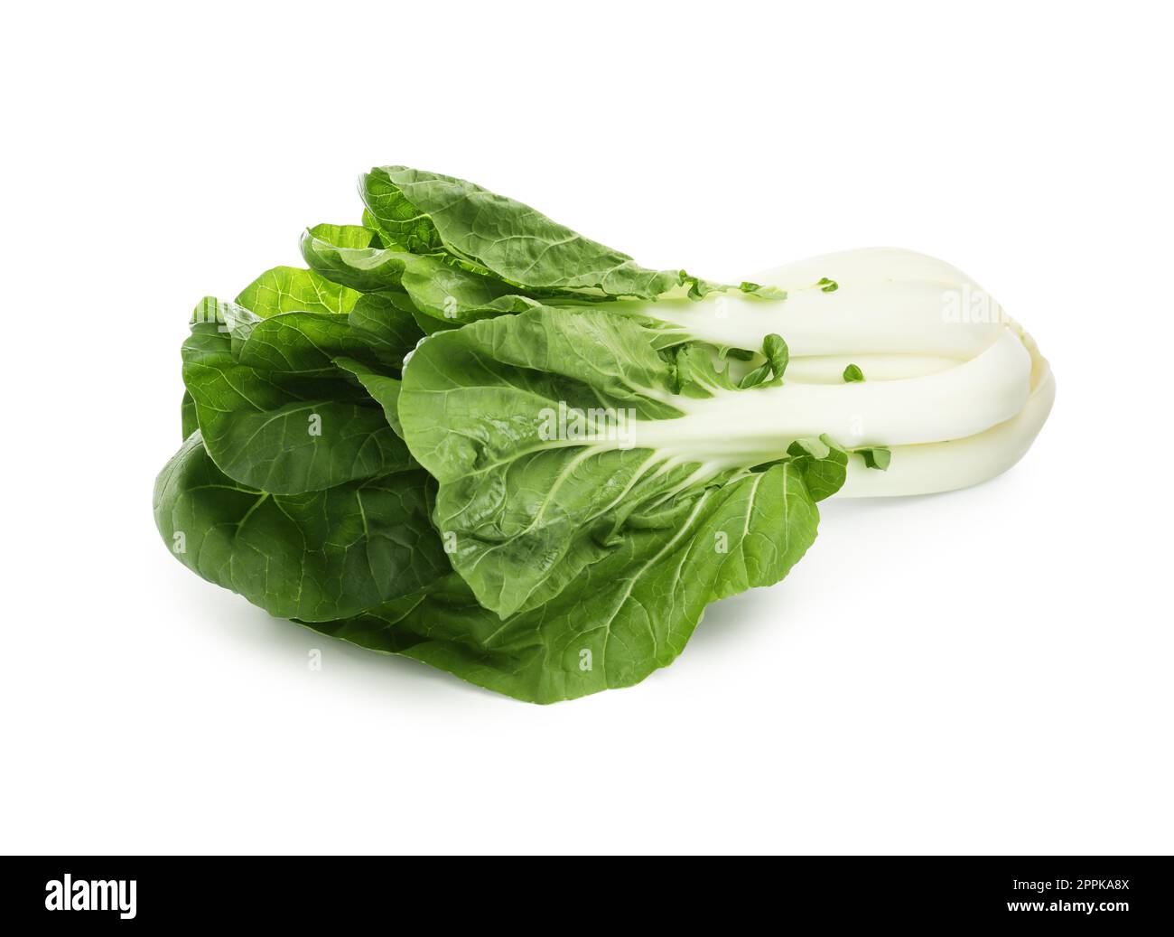 Fresh green pak choy cabbage isolated on white Stock Photo - Alamy