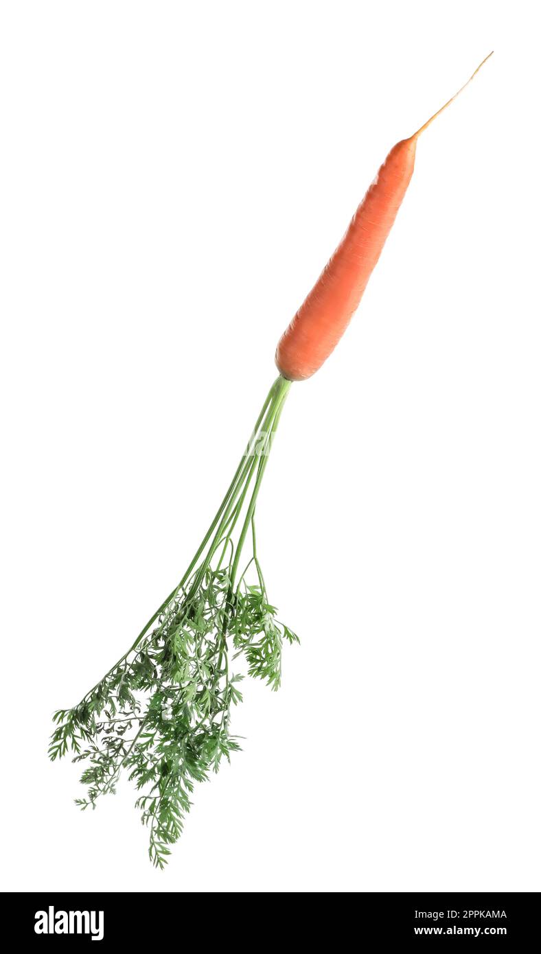 Carrot foliage Cut Out Stock Images & Pictures - Alamy