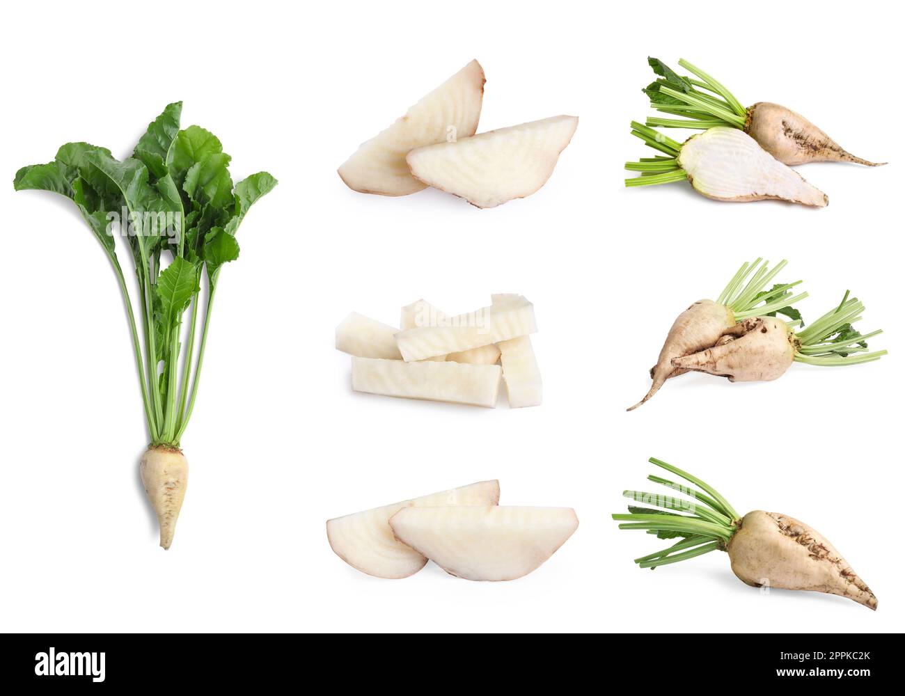 Set with whole and cut sugar beets on white background Stock Photo - Alamy