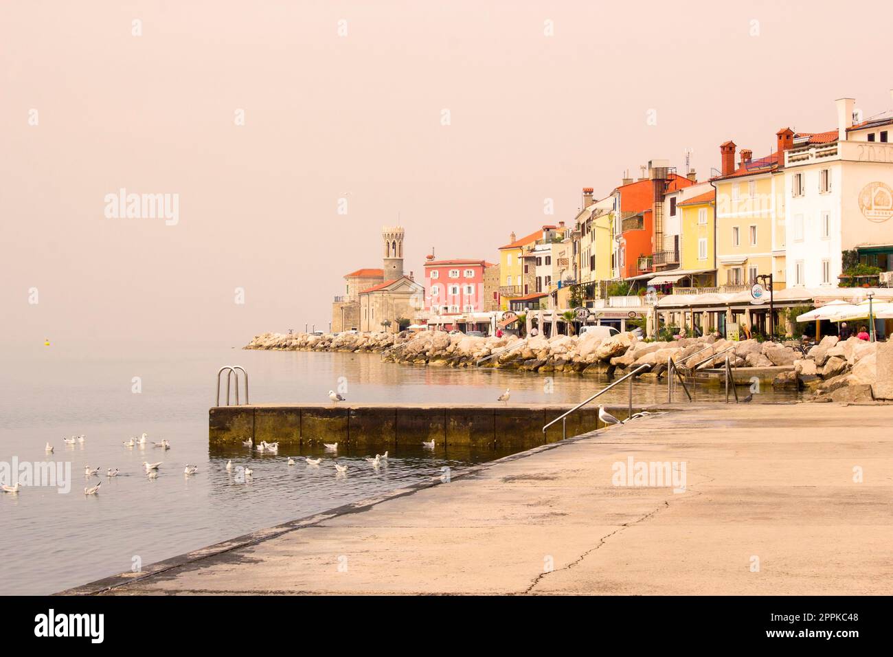 old town Piran - beautiful Slovenian adriatic coast Stock Photo - Alamy