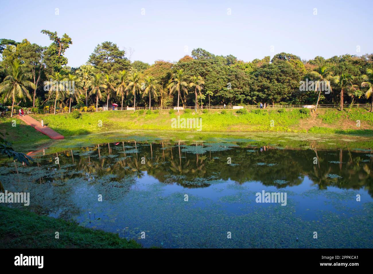 Reflection trees hi-res stock photography and images - Alamy