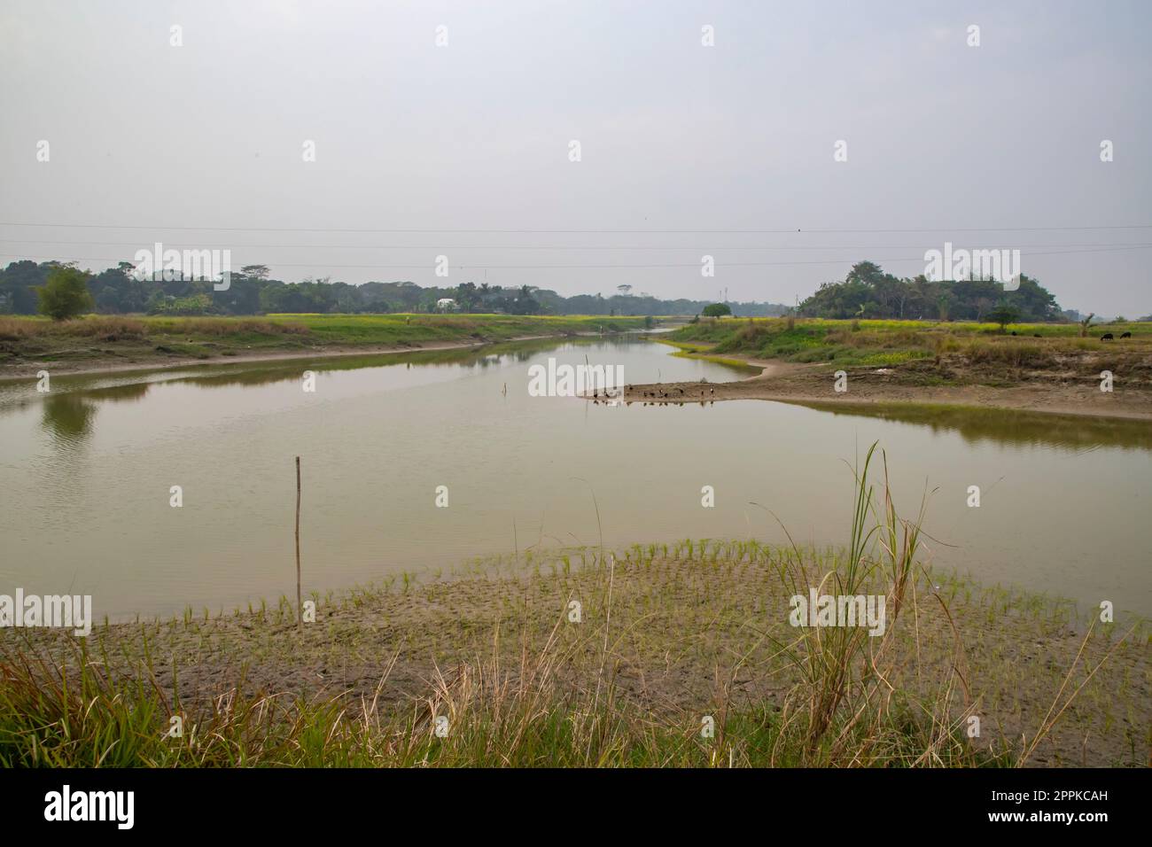 Beautiful landscape view of Padma river in Bangladesh Stock Photo - Alamy