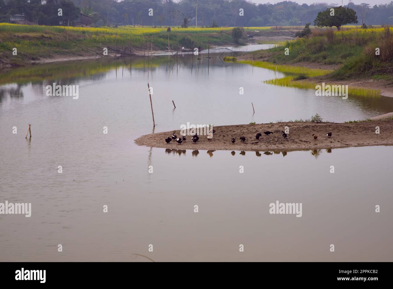 Beautiful landscape view of Padma river in Bangladesh Stock Photo - Alamy