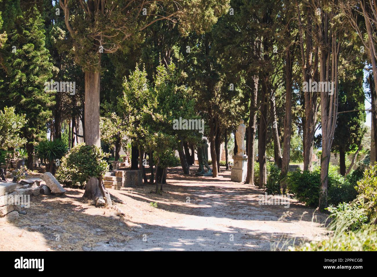 path through a park at rhodes Stock Photo - Alamy