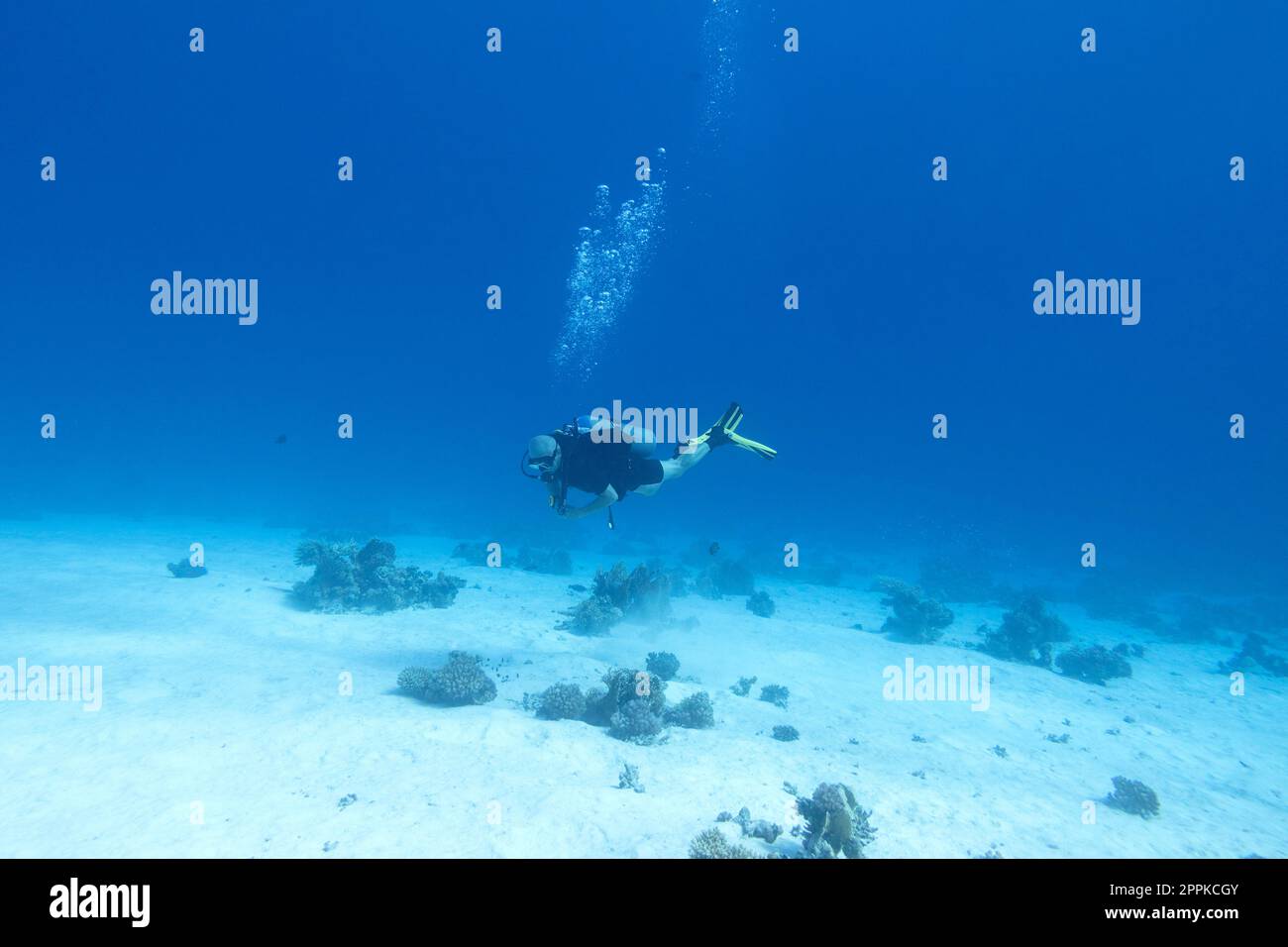Single scuba diver over a coral reef, air bubbles, underwater landcape ...
