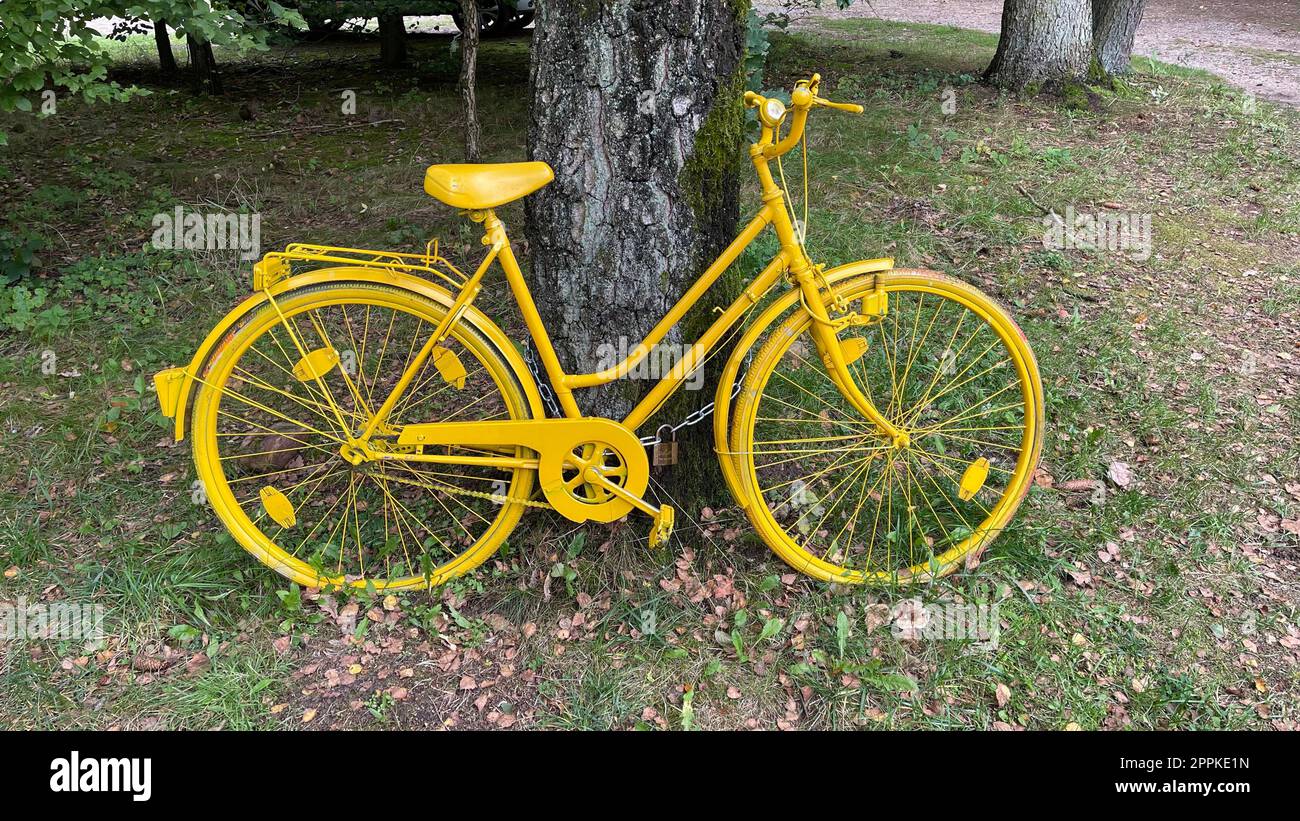 Bright color wheel hi-res stock photography and images - Alamy