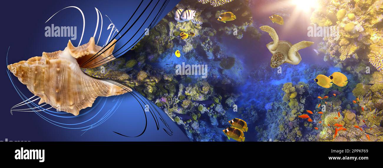 Colorful coral reef with many fishes. Art design of Caribbean Sea ...