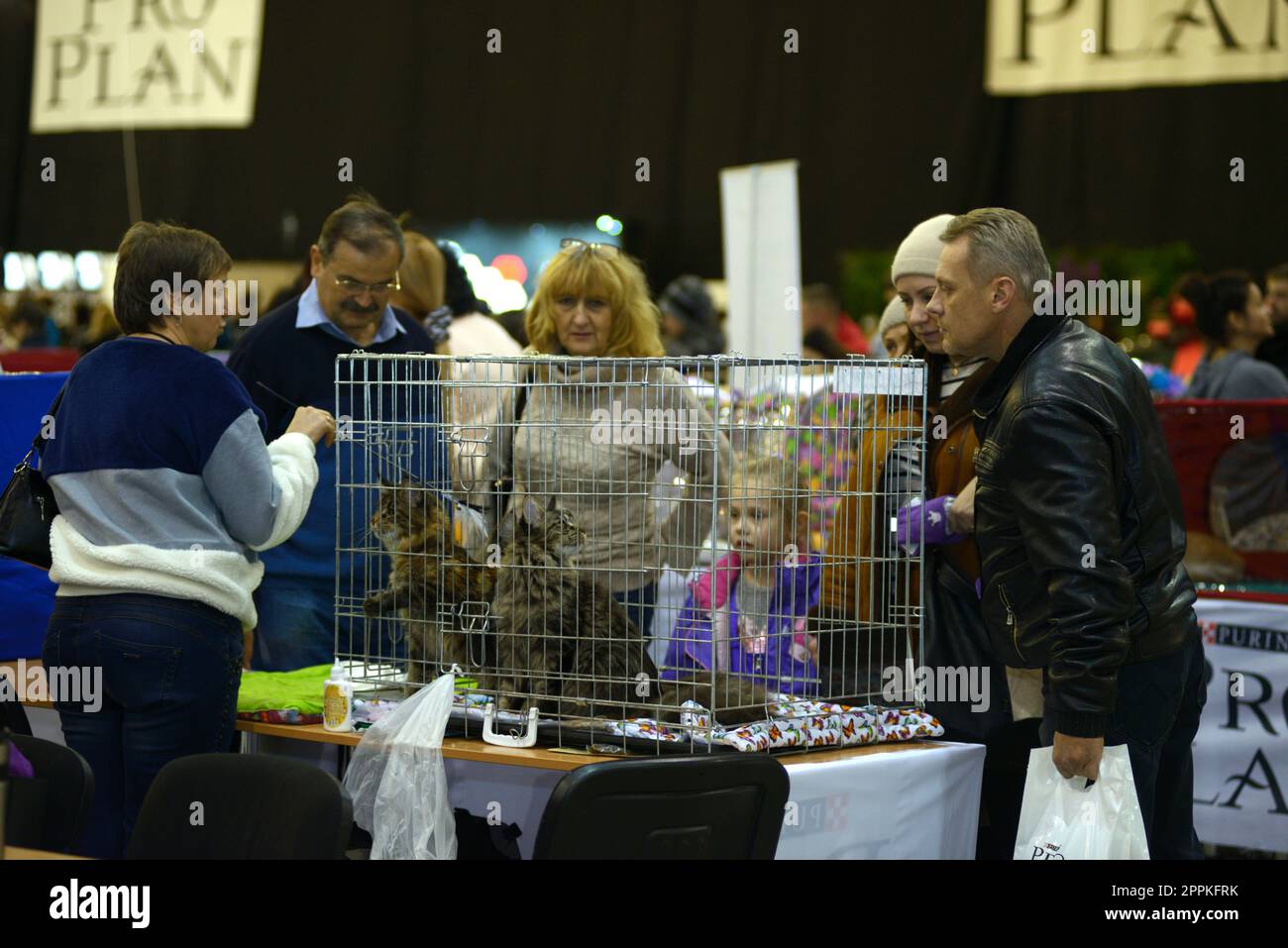 Group of visitors looking at cages with cats inside. Grand cat show ...