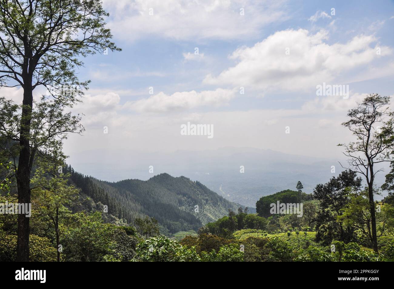 Knuckles mountain range Stock Photo - Alamy