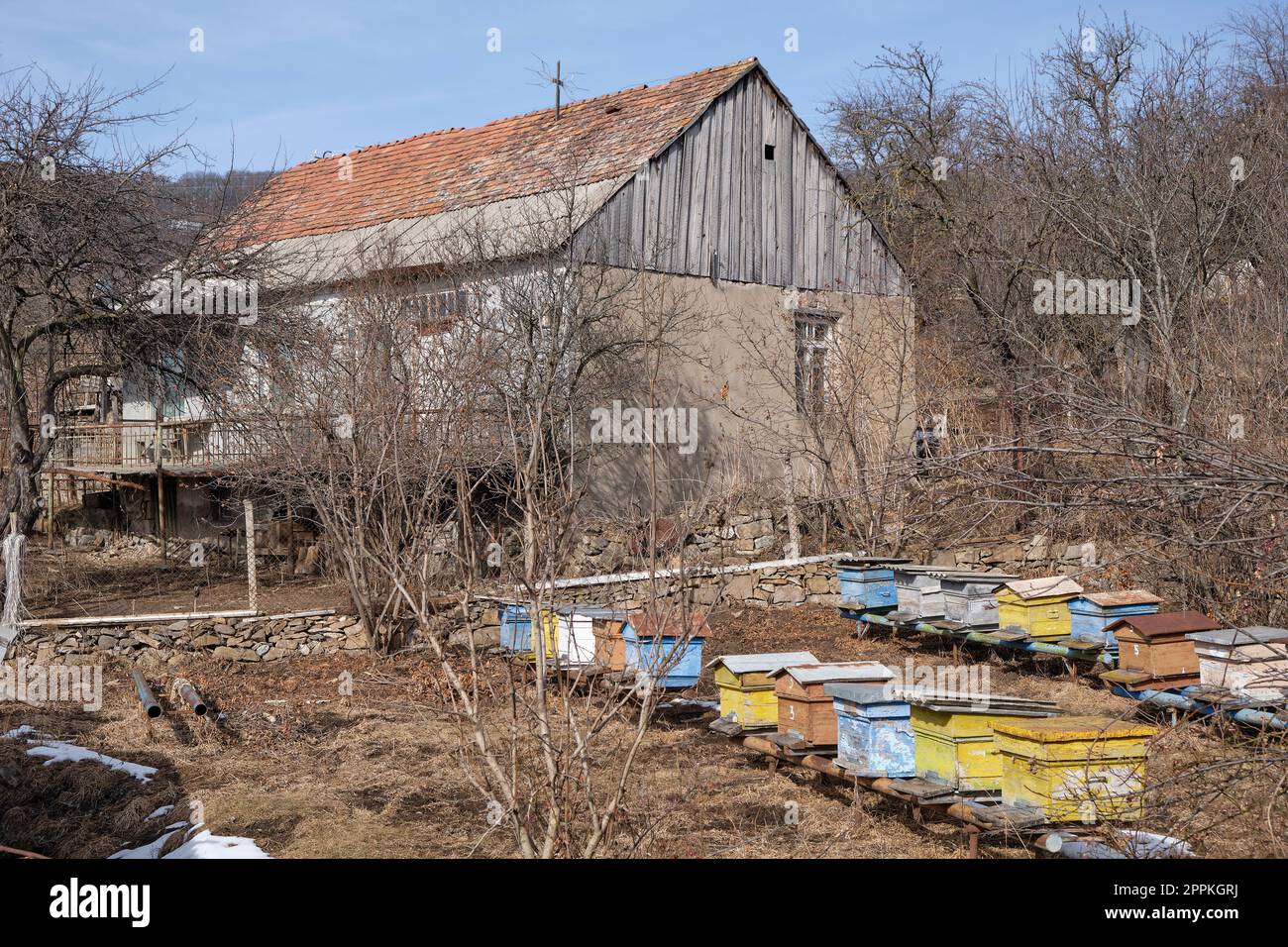 Bee hives in the backyard of a village with an old neighboring house in ...