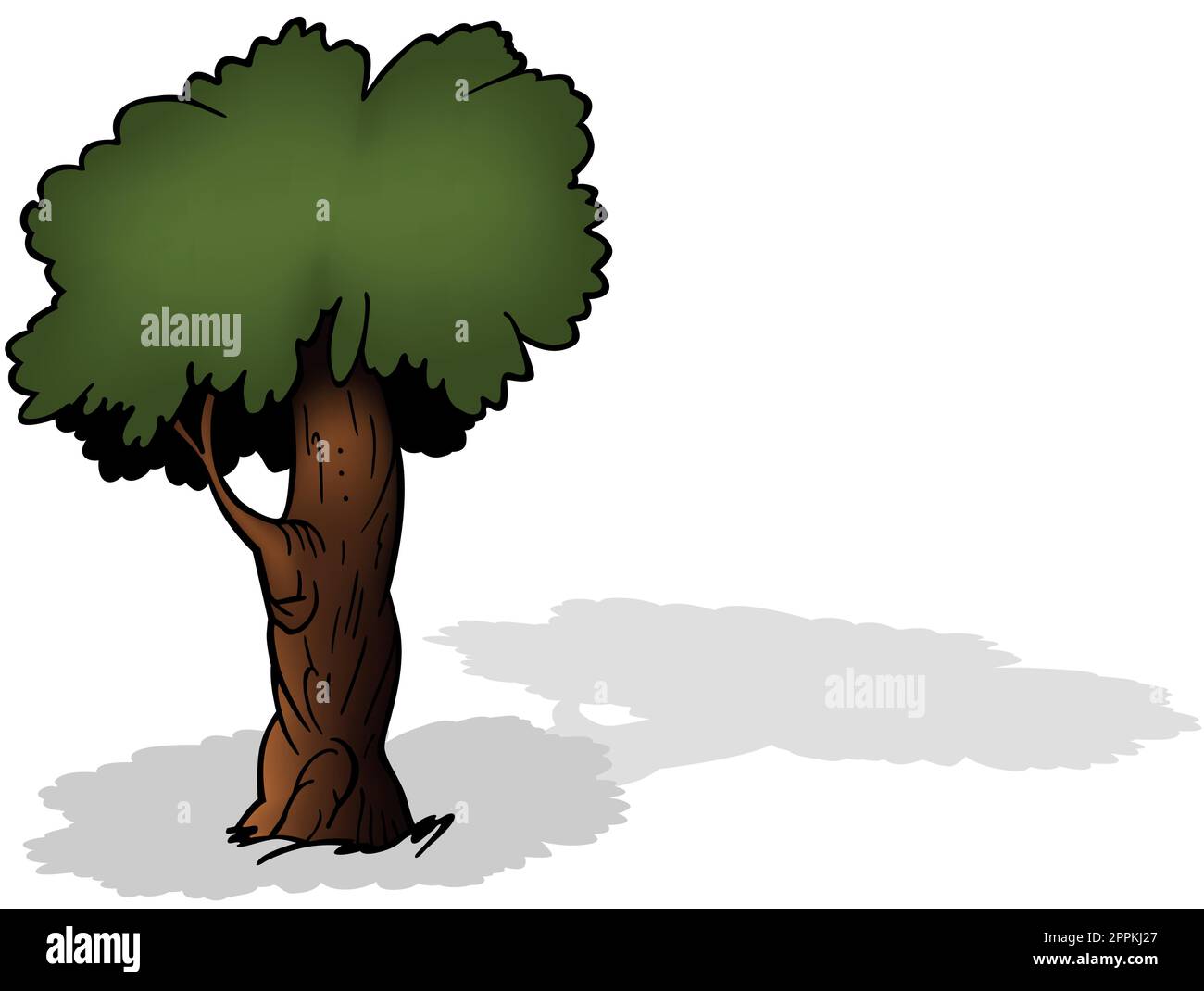 Deciduous tree colored cartoon illustration hi-res stock photography ...