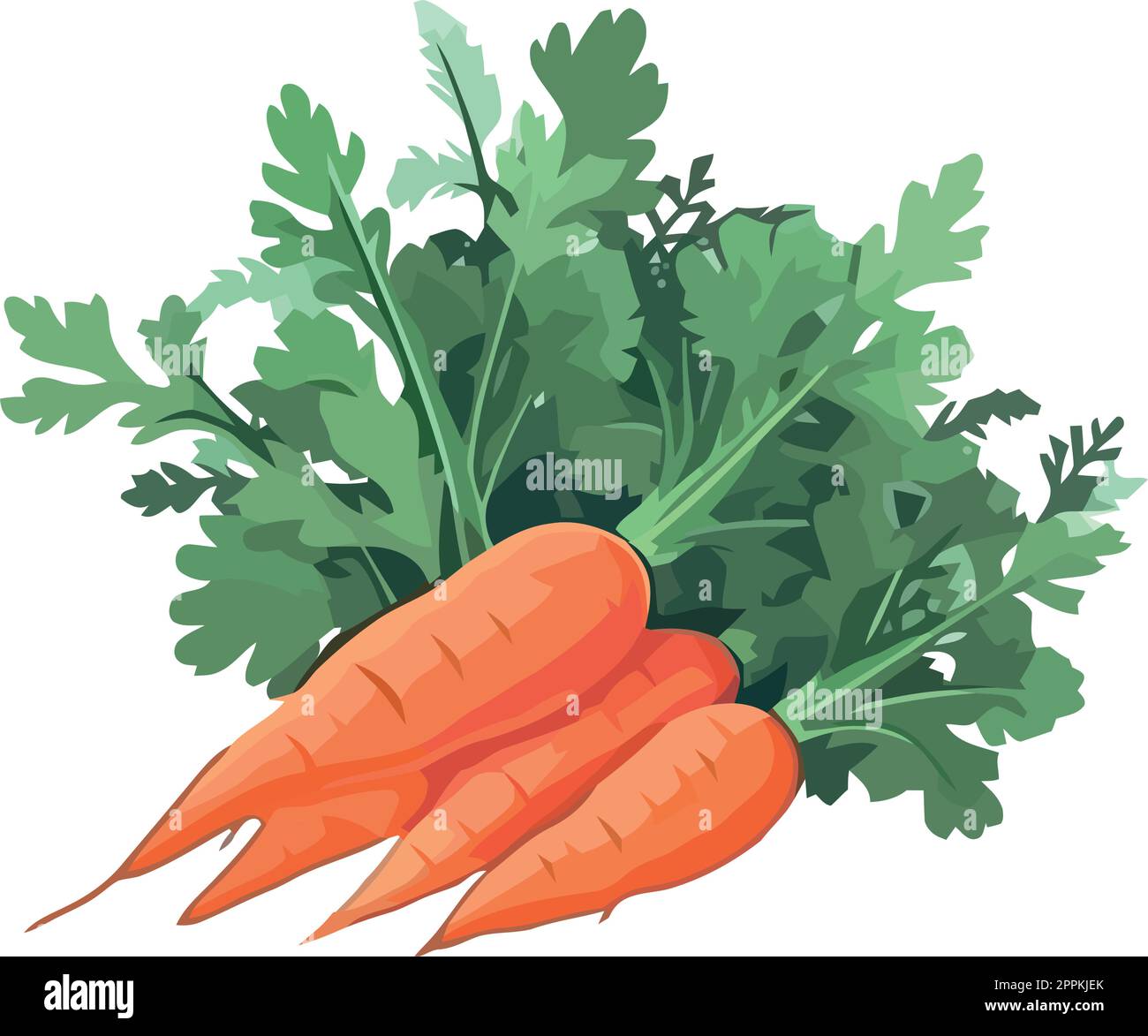 Fresh carrots design Stock Vector Image & Art - Alamy