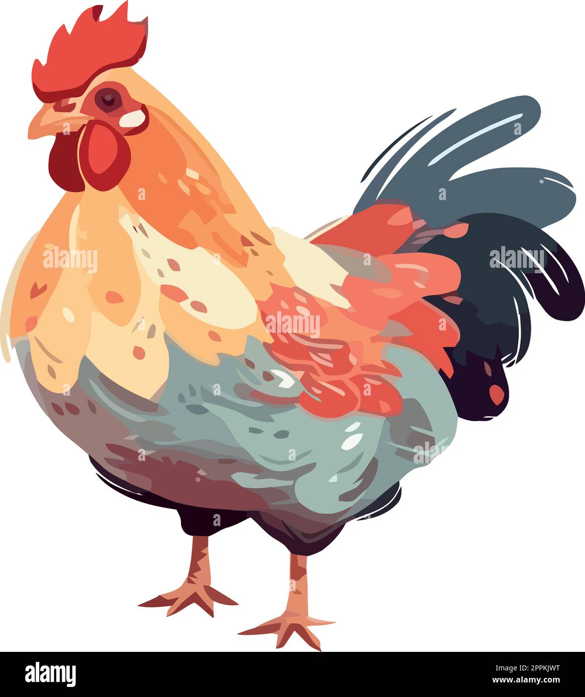Colored chicken vector Stock Vector Image & Art - Alamy
