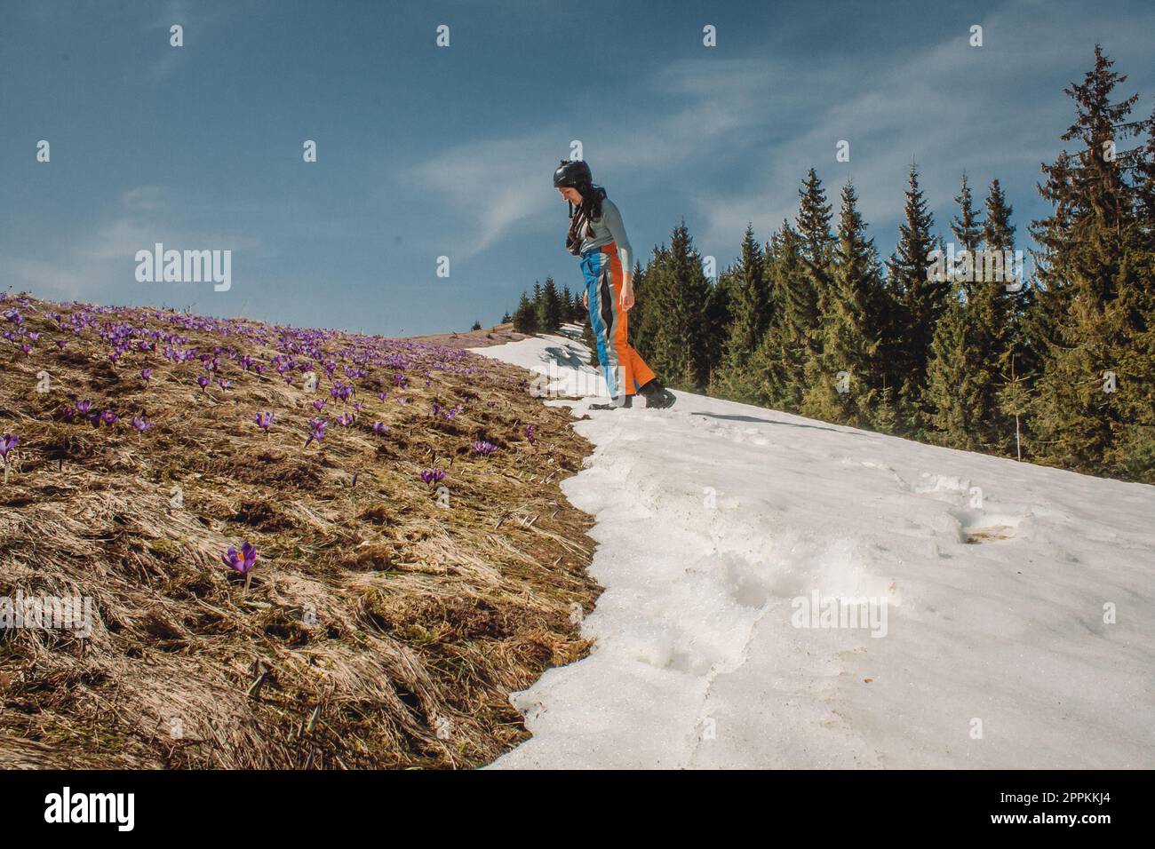 Springtime scenic hi-res stock photography and images - Alamy