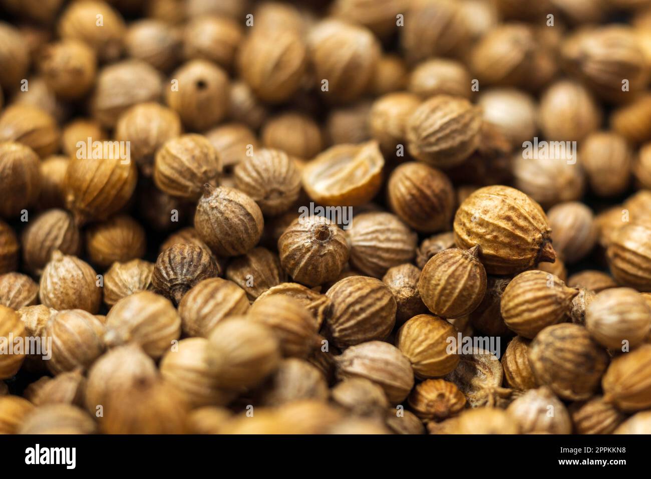 Macro shot of coriander seeds. Organic food, healthy lifestyle. Medicinal herbs and spices Stock ...