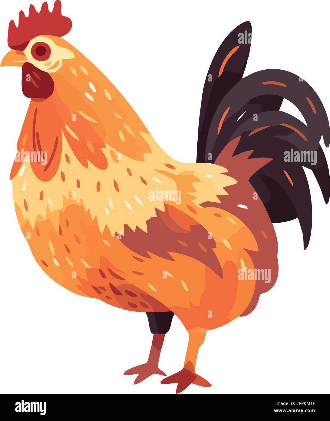 Colored chicken design Stock Vector Image & Art - Alamy