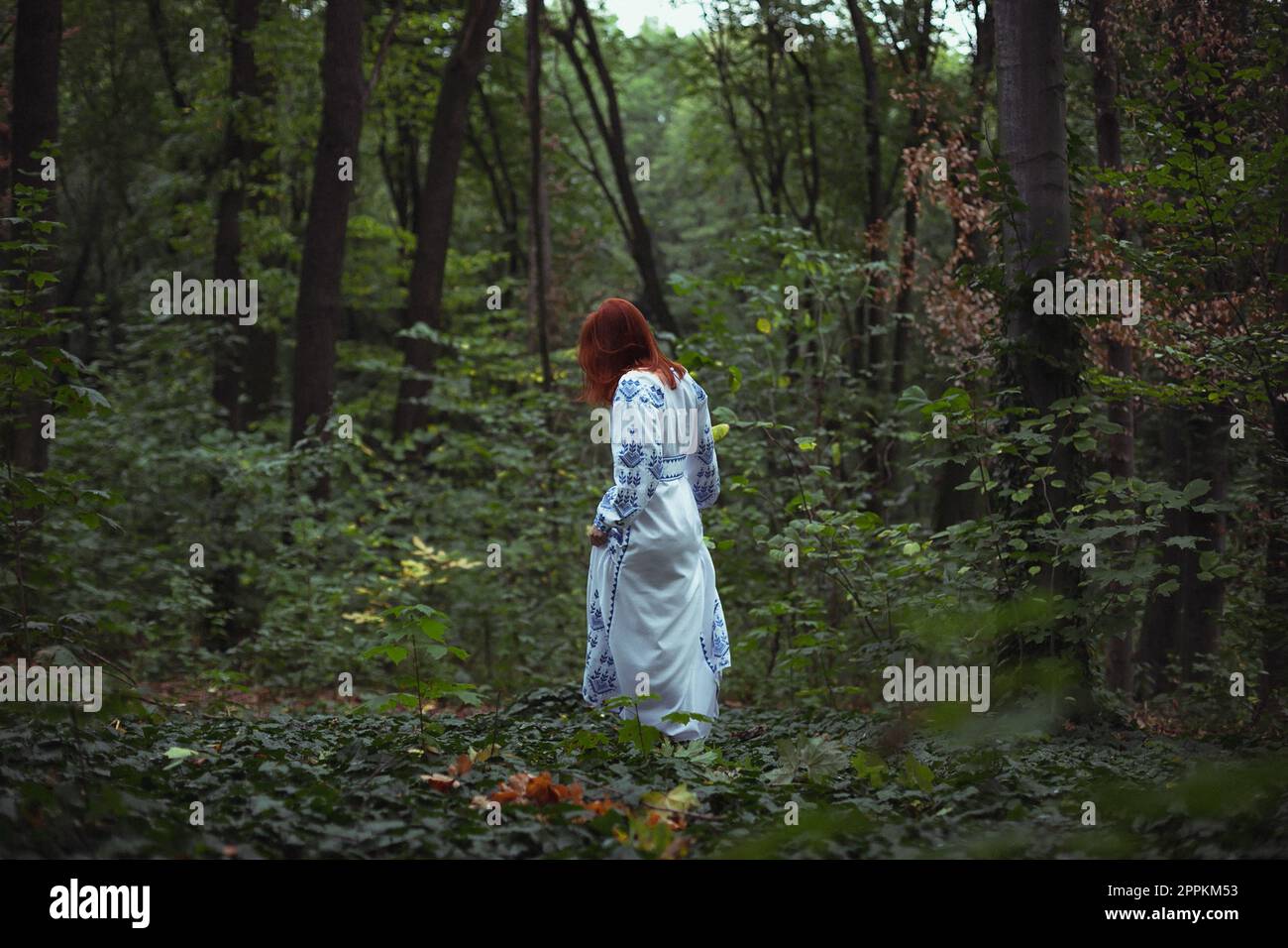 Woodland aesthetic hi-res stock photography and images - Alamy