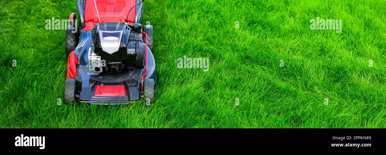 Lawn mower cutting green grass in backyard, mowing lawn Stock Photo - Alamy